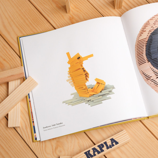 BOOK - THE BEST OF KAPLA